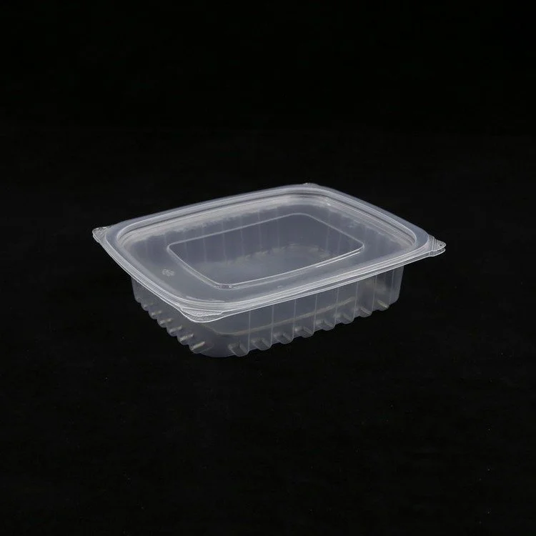 Rectangular plastic container with wave pattern - CON-TF-SP500 ...
