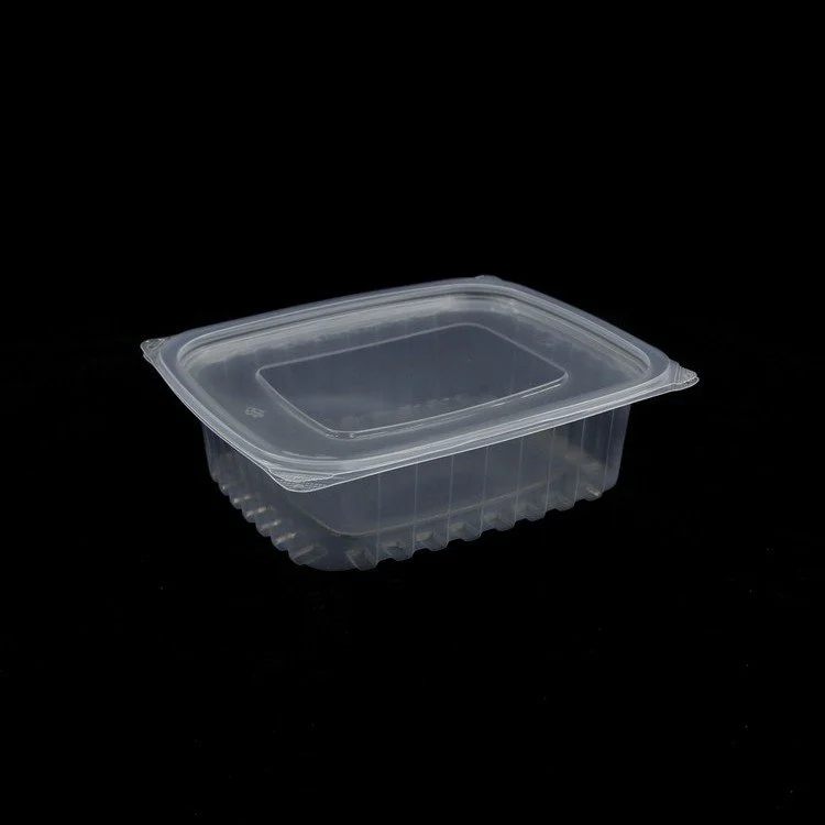 Plastic Containers — Celebrating with you | SKP PTE LTD