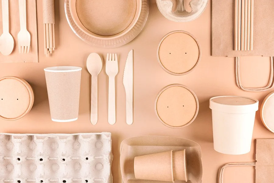 Bamboo Products: The Ideal Biodegradable Substitute — Celebrating with ...