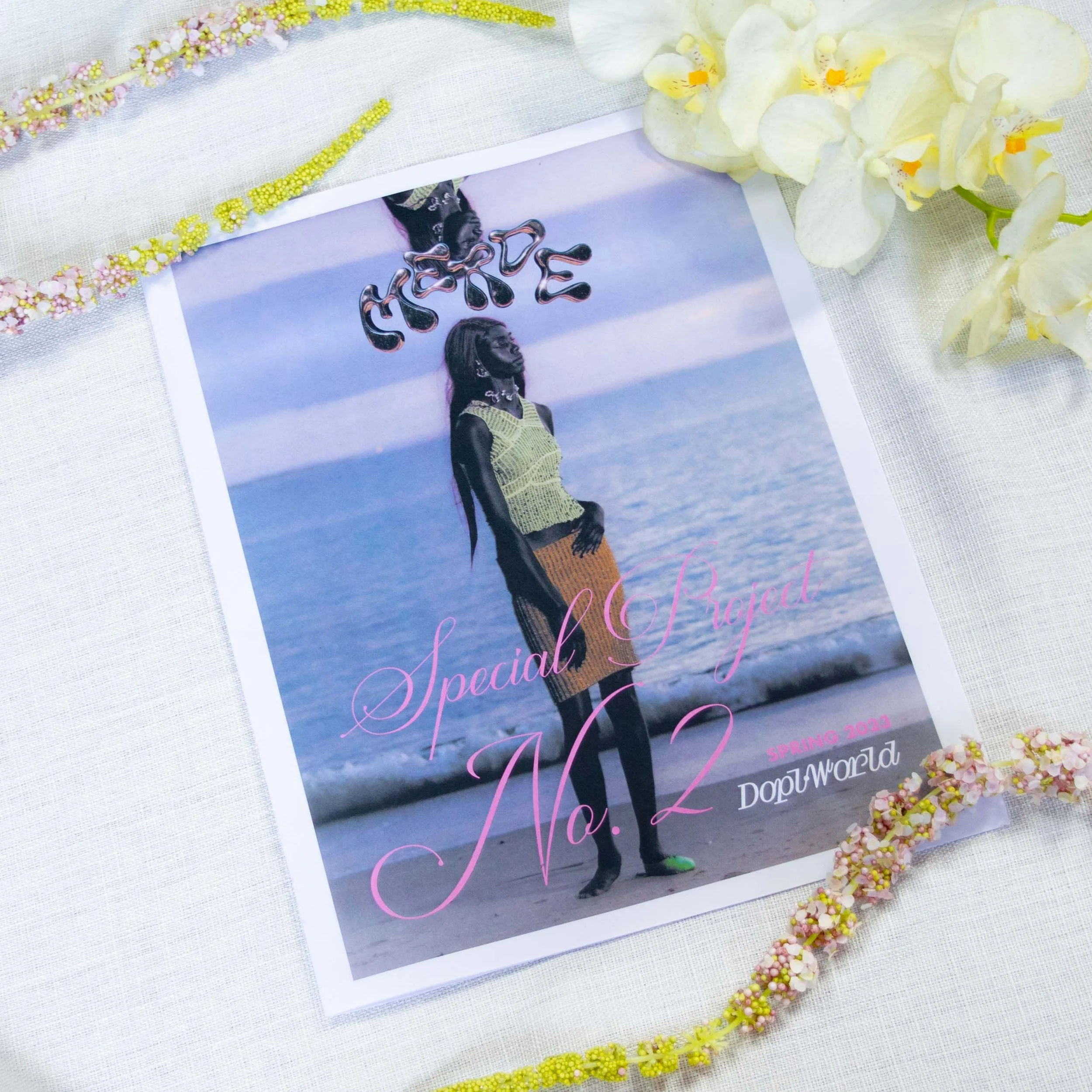 MERDE Magazine | Satirical Fashion Publication