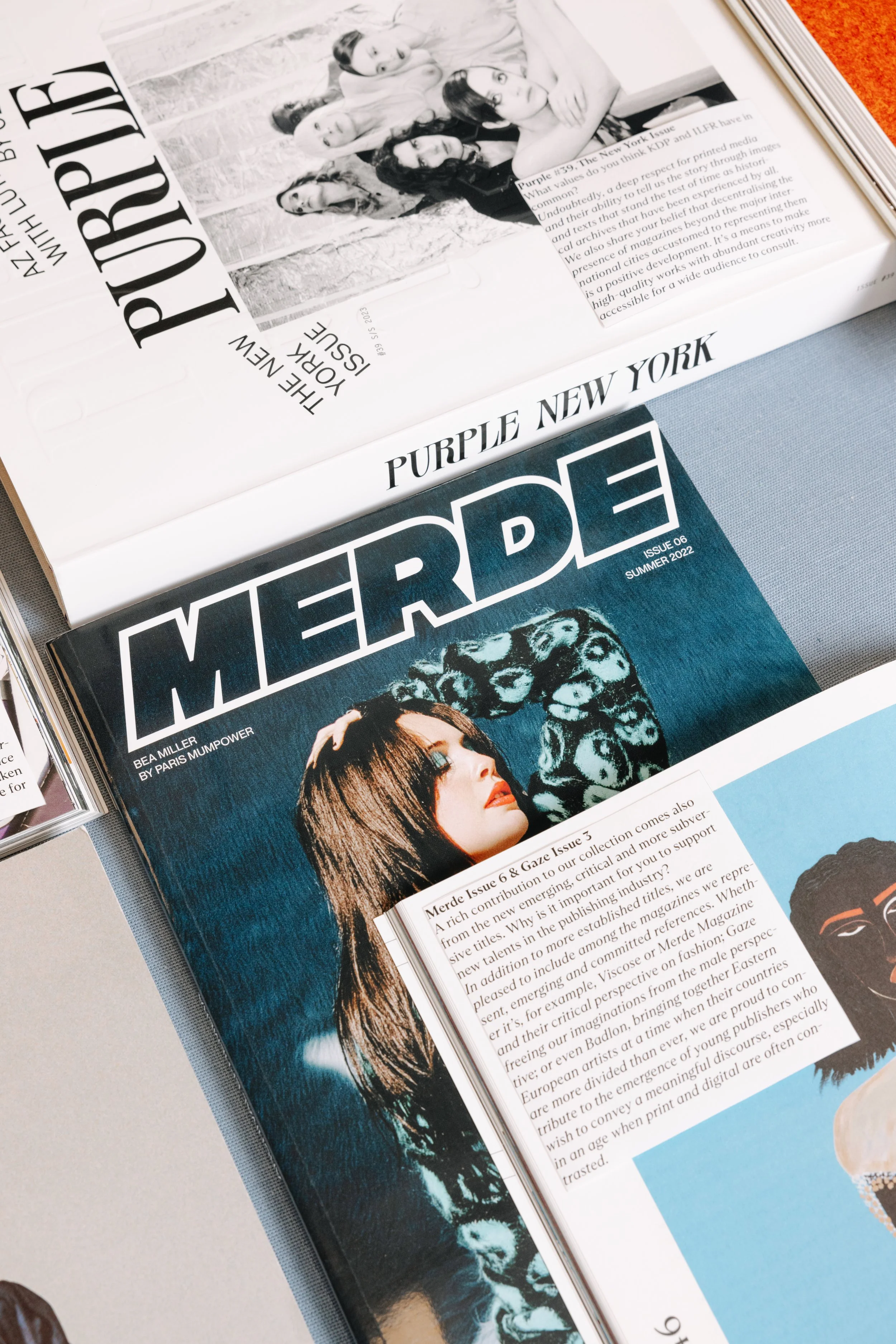 MERDE Magazine | Satirical Fashion Publication