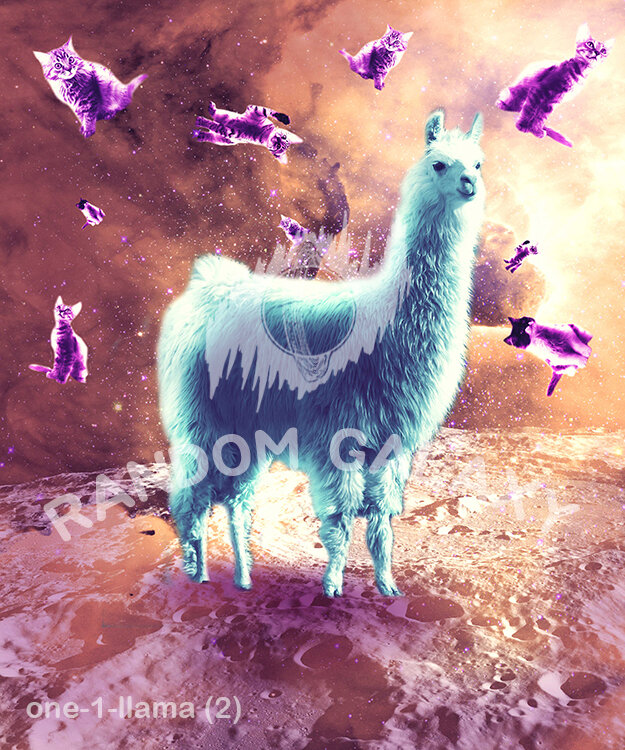 Llamas In Space Wallpaper