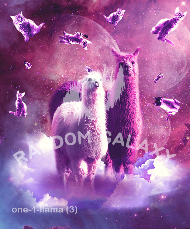 Llamas In Space Wallpaper