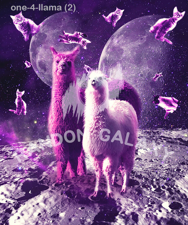 Llamas In Space Wallpaper