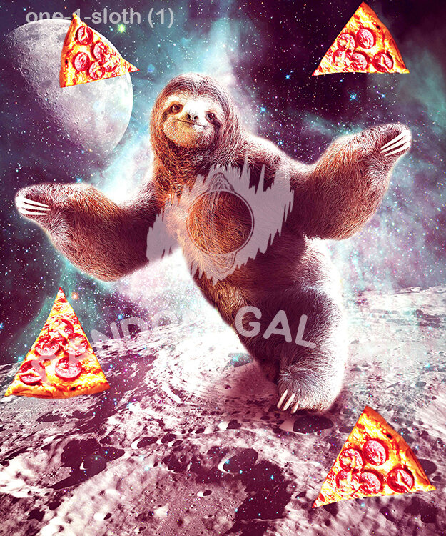 Sloths — Tate Licensing