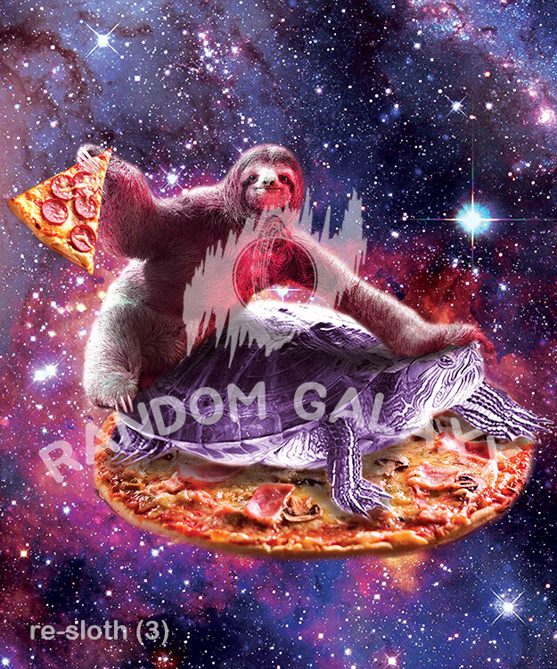 Sloths — Tate Licensing