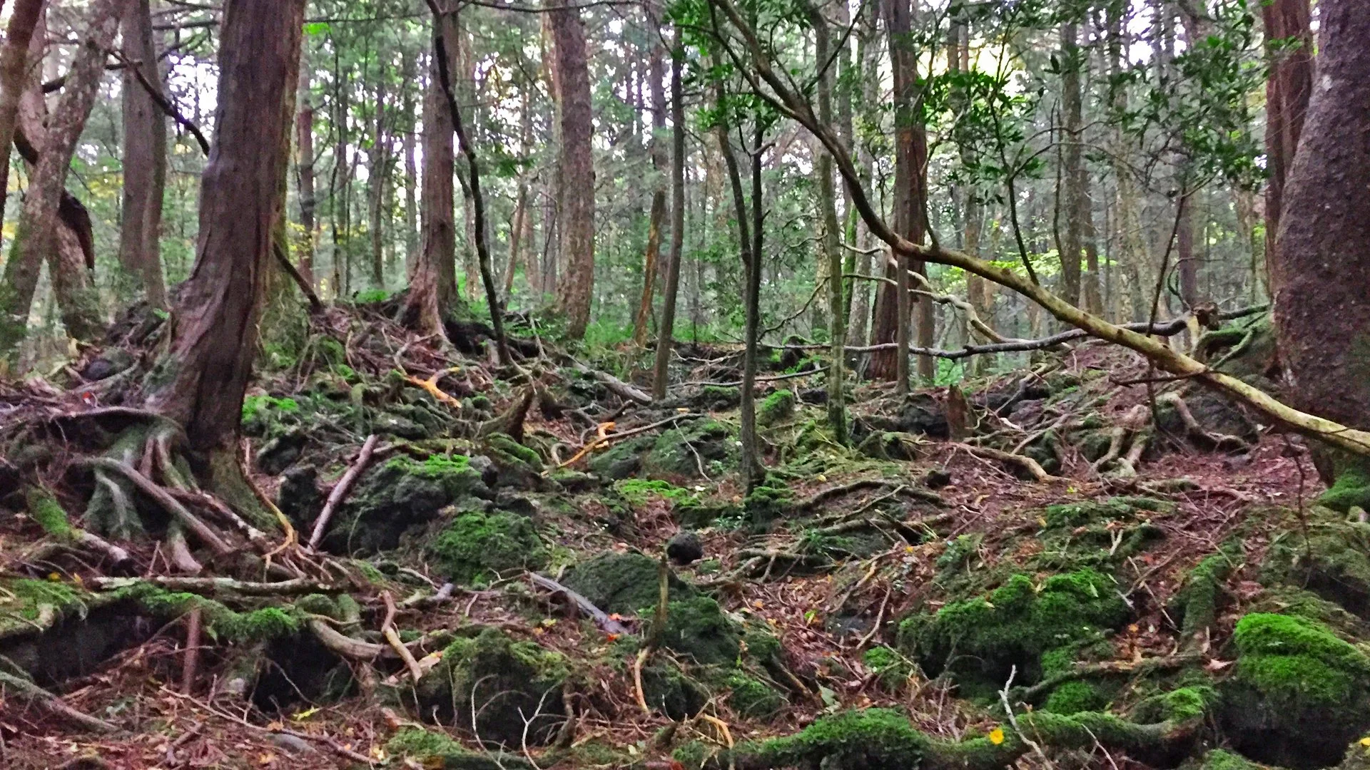 104. Halloween Special - Haunted Places — Sightseeing Japan Podcast