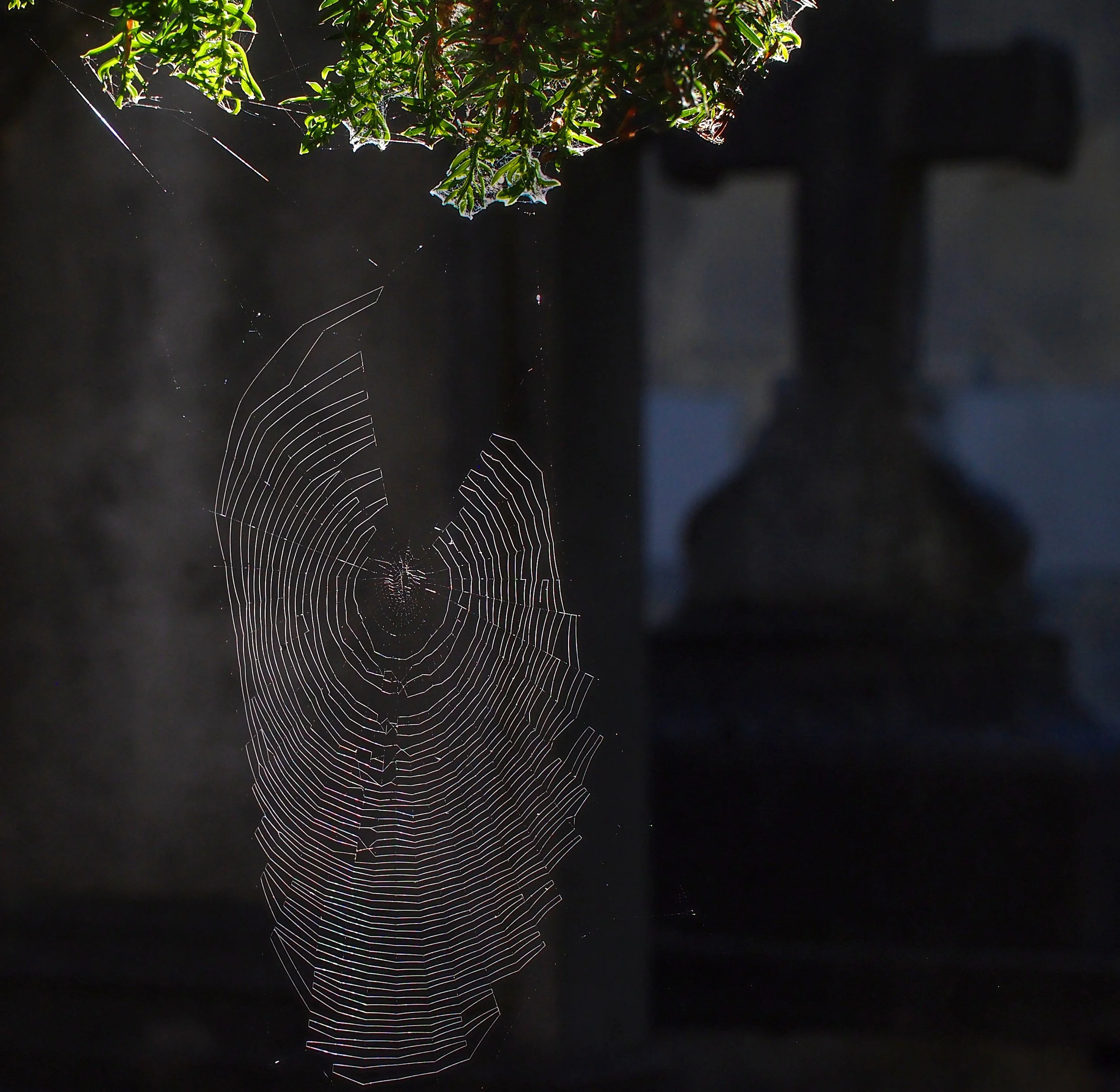 Liminal Life (the art of graveyard photography) — Thousand Wing Press