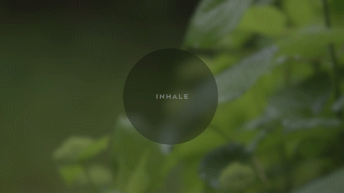 New: Visual Breathwork Exercises — Alo Moves