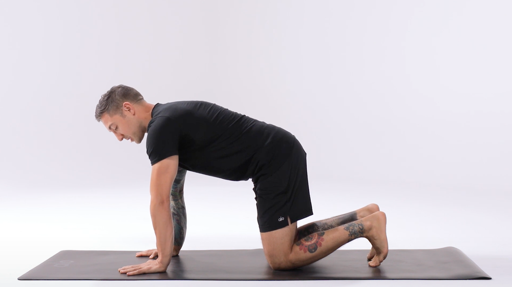 How to Do Cat Pose - Yoga Tutorial — Alo Wellness Club | The Blog