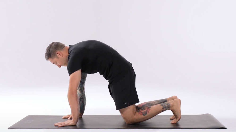 How to Do Cat Pose - Yoga Tutorial — Alo Wellness Club | The Blog