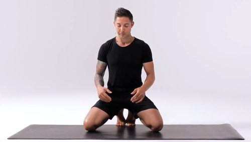How to Do Peacock Pose (Mayurasana) - Yoga Tutorial — Alo Wellness Club ...