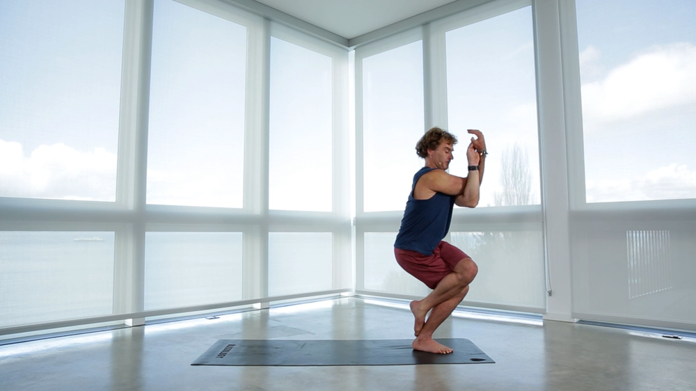 10 Beginner Yoga Classes for Better Balance — Alo Wellness Club | The Blog