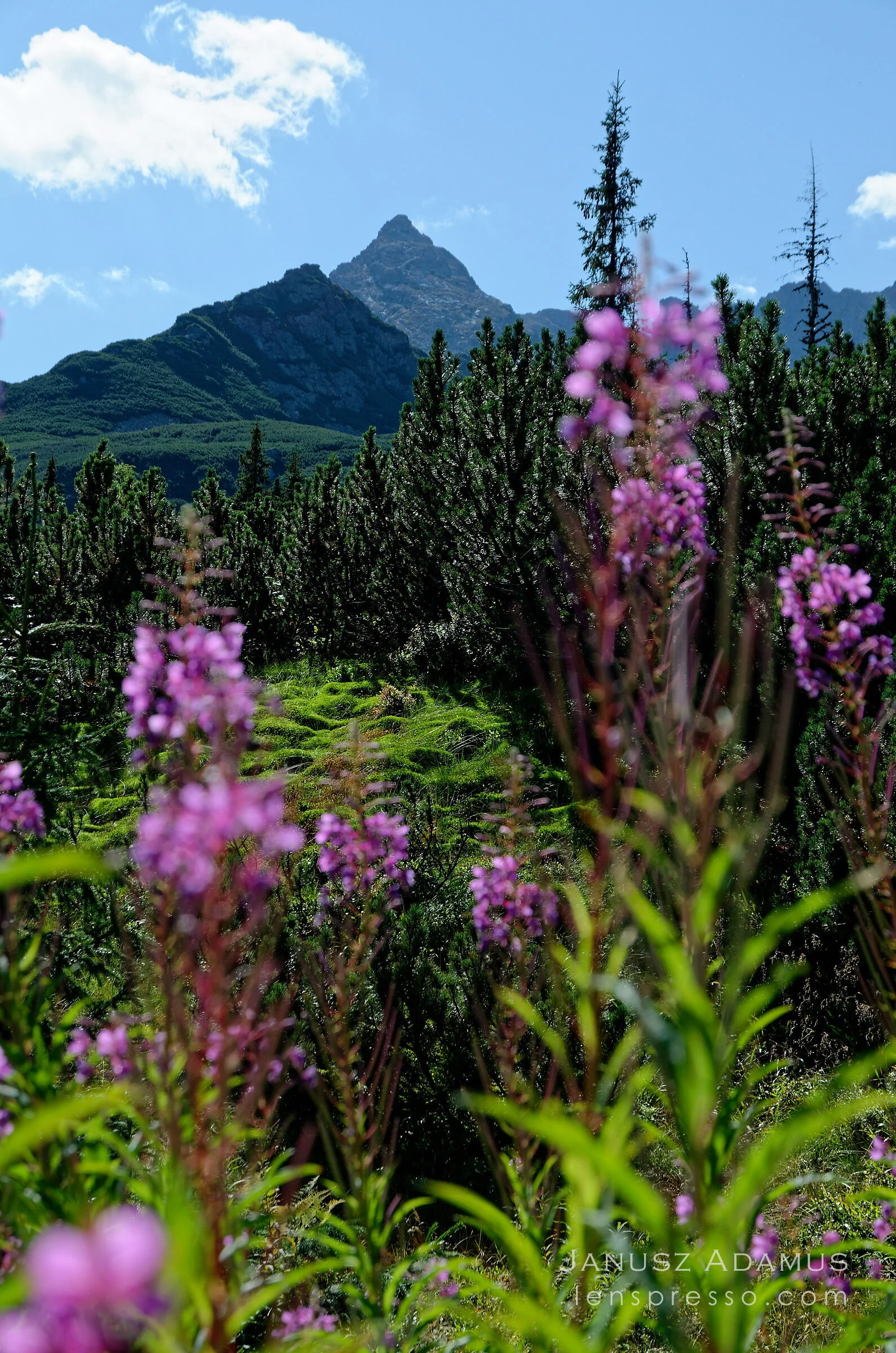 Mountainscapes — Janusz Adamus photography