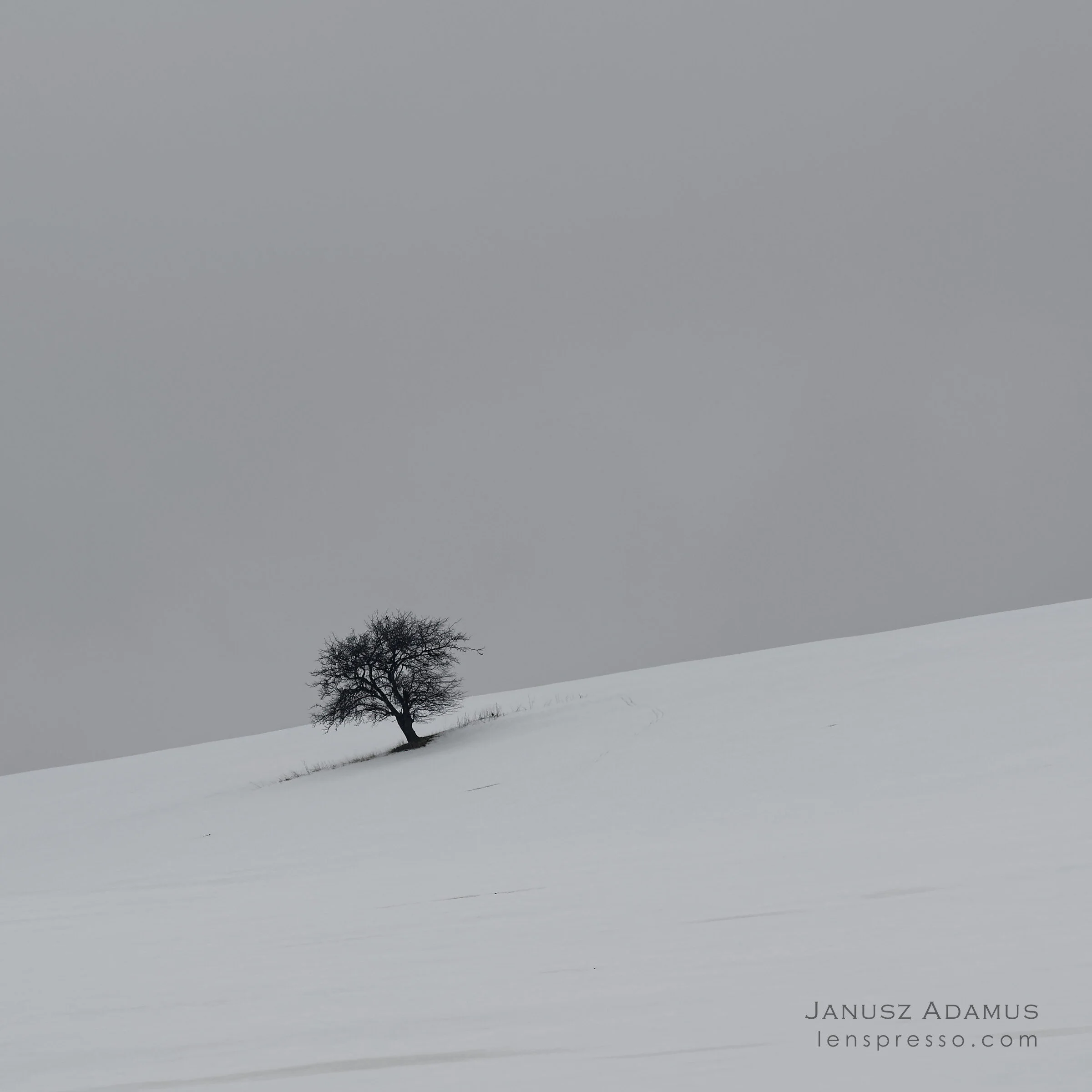 Black & White — Janusz Adamus photography