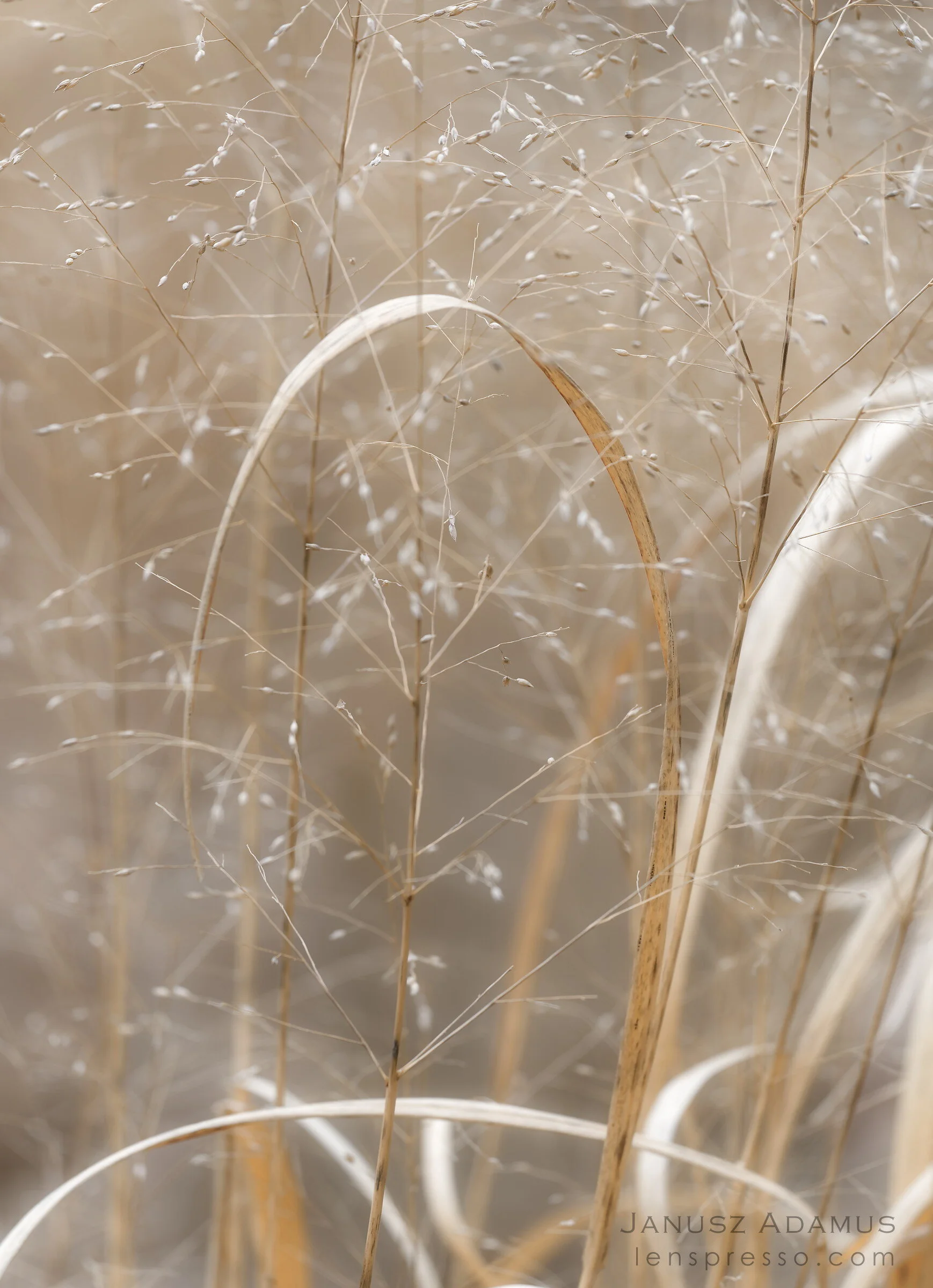 Abstracts — Janusz Adamus photography