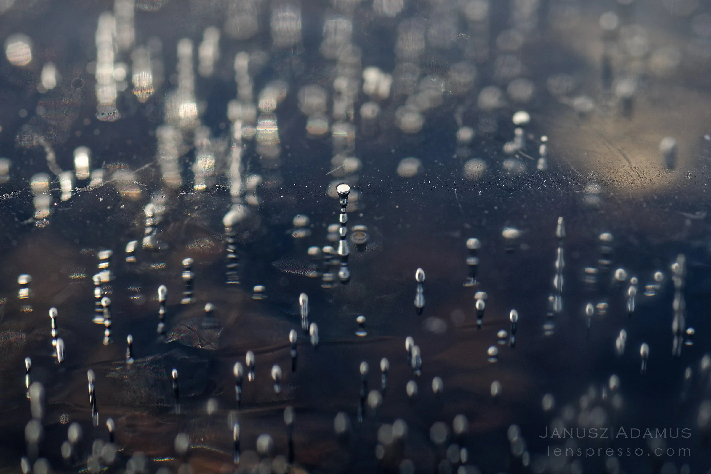 Abstracts — Janusz Adamus photography