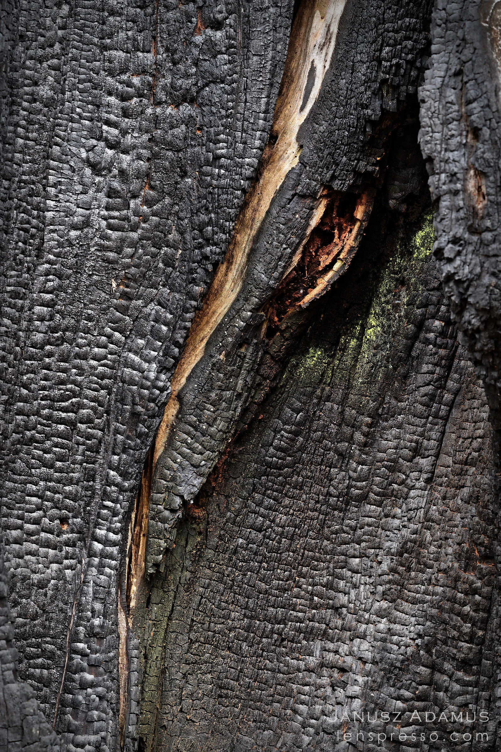 Abstracts — Janusz Adamus photography