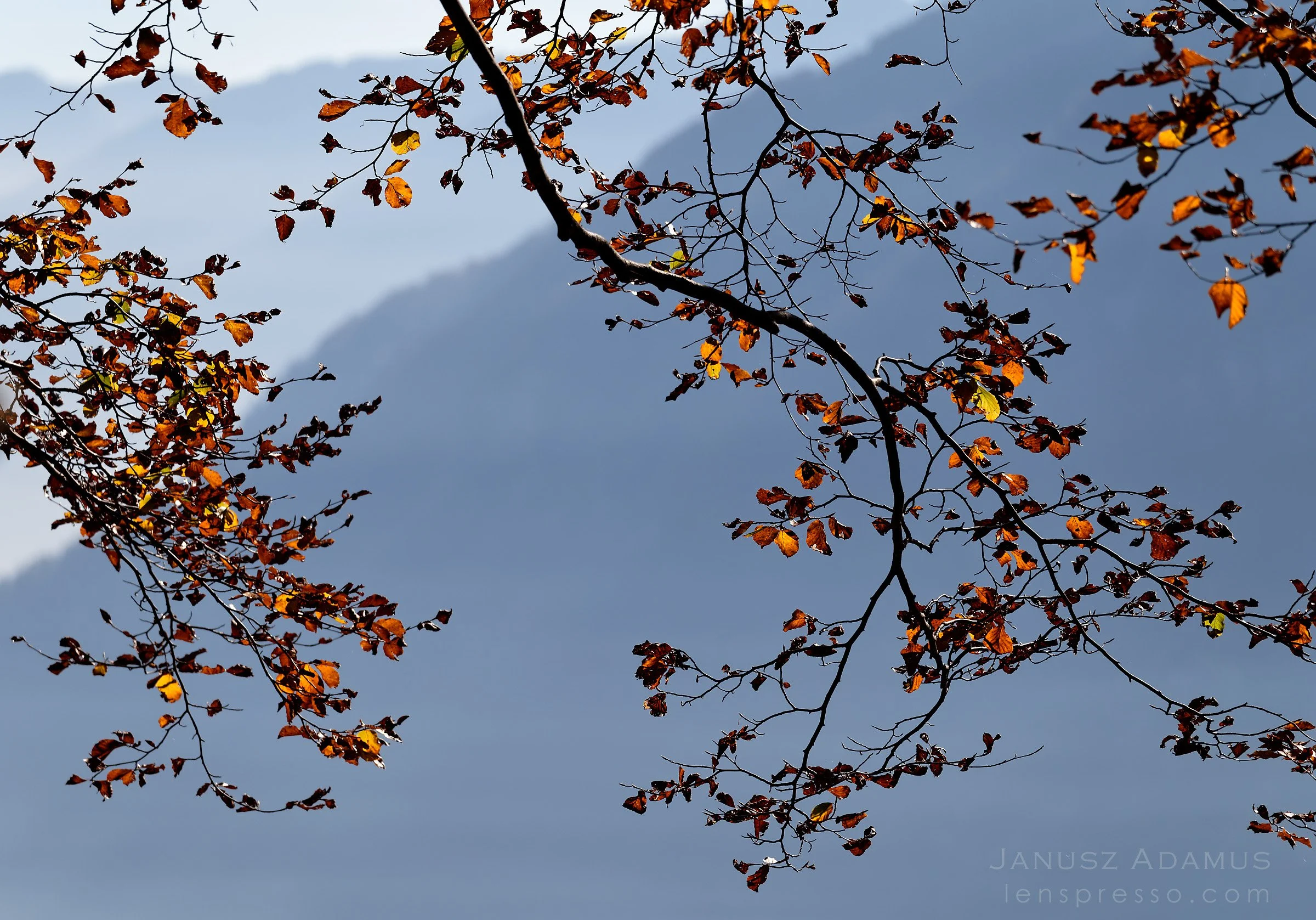 Abstracts — Janusz Adamus photography