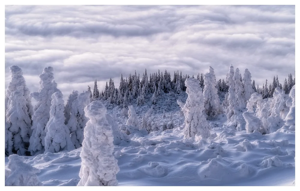 Winter Kingdom — Janusz Adamus photography
