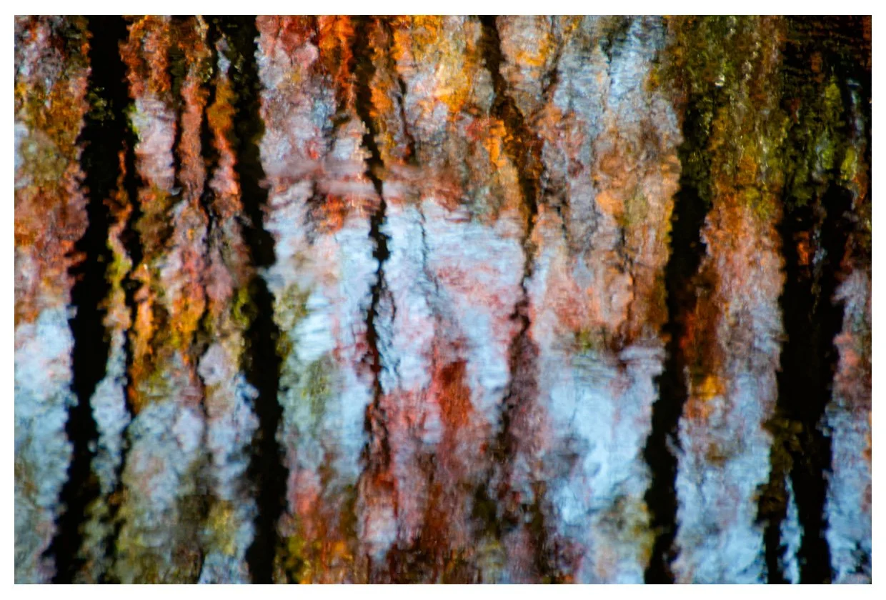 Impressionistic Pond — Janusz Adamus photography