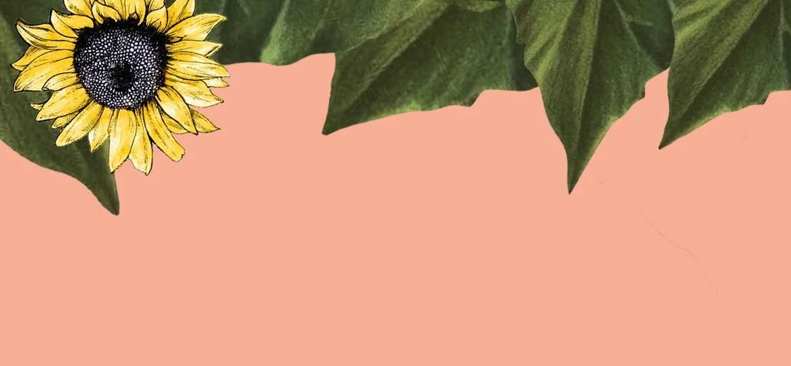 Sunflowers Tumblr Header
