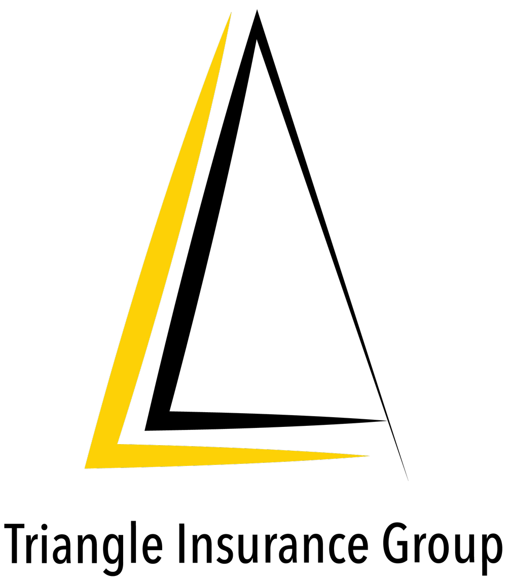 Union Standard — Triangle Insurance Group