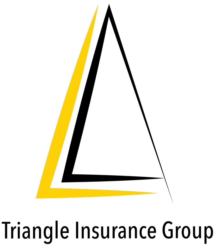 Union Standard — Triangle Insurance Group