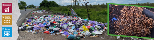 Waste Transformers — Professionals International