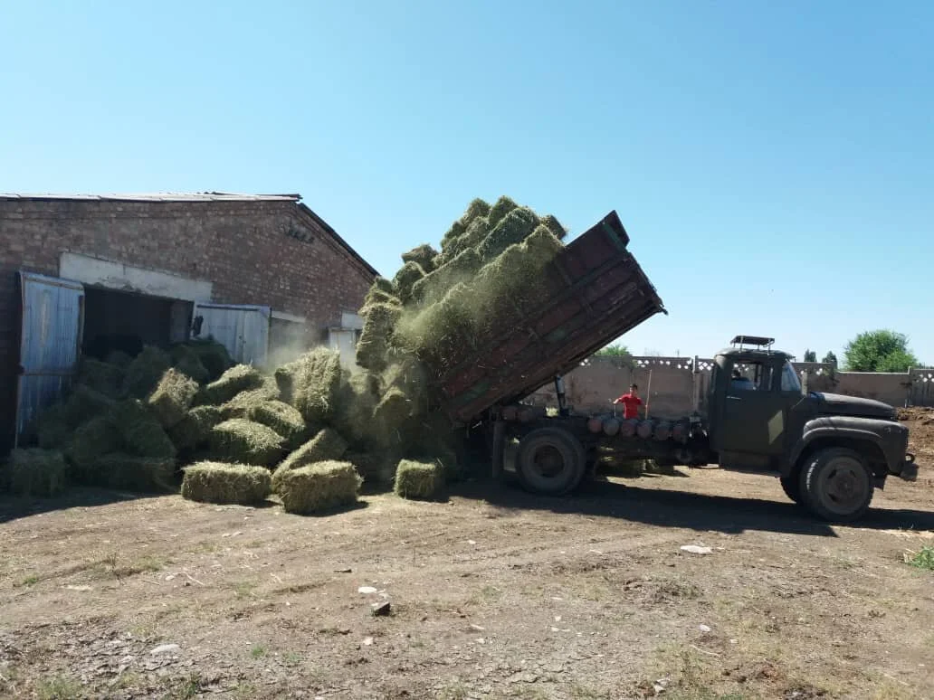 Integrated Farm — Professionals International