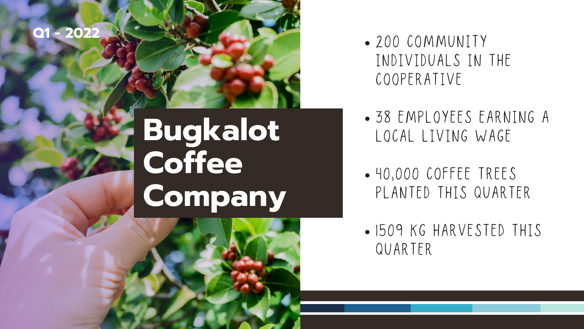 Bugkalot Coffee Company — Professionals International