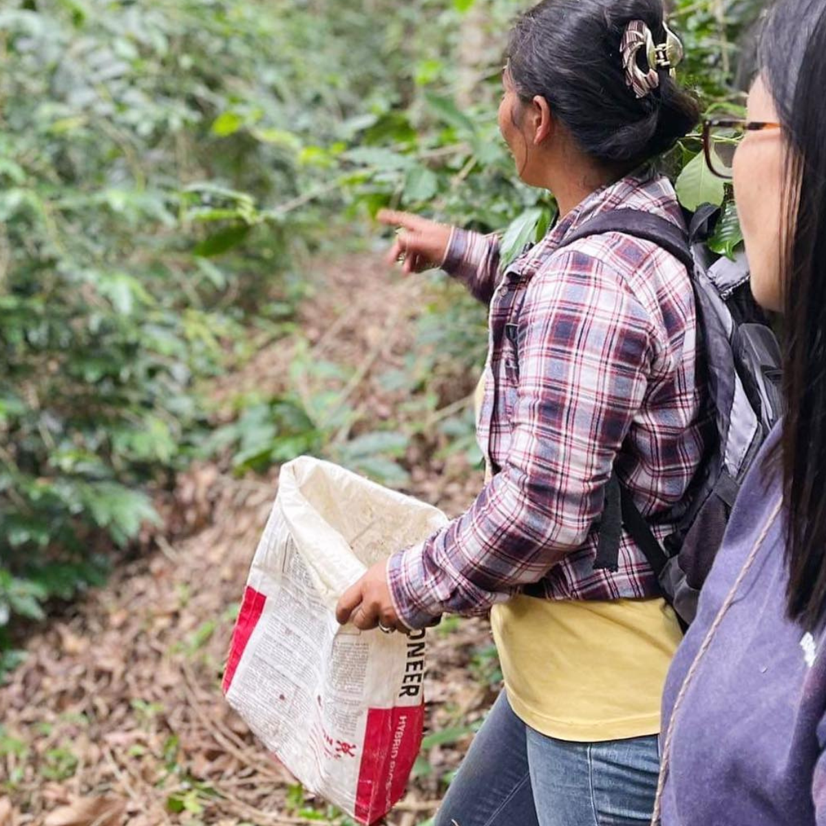Bugkalot Coffee Company — Professionals International