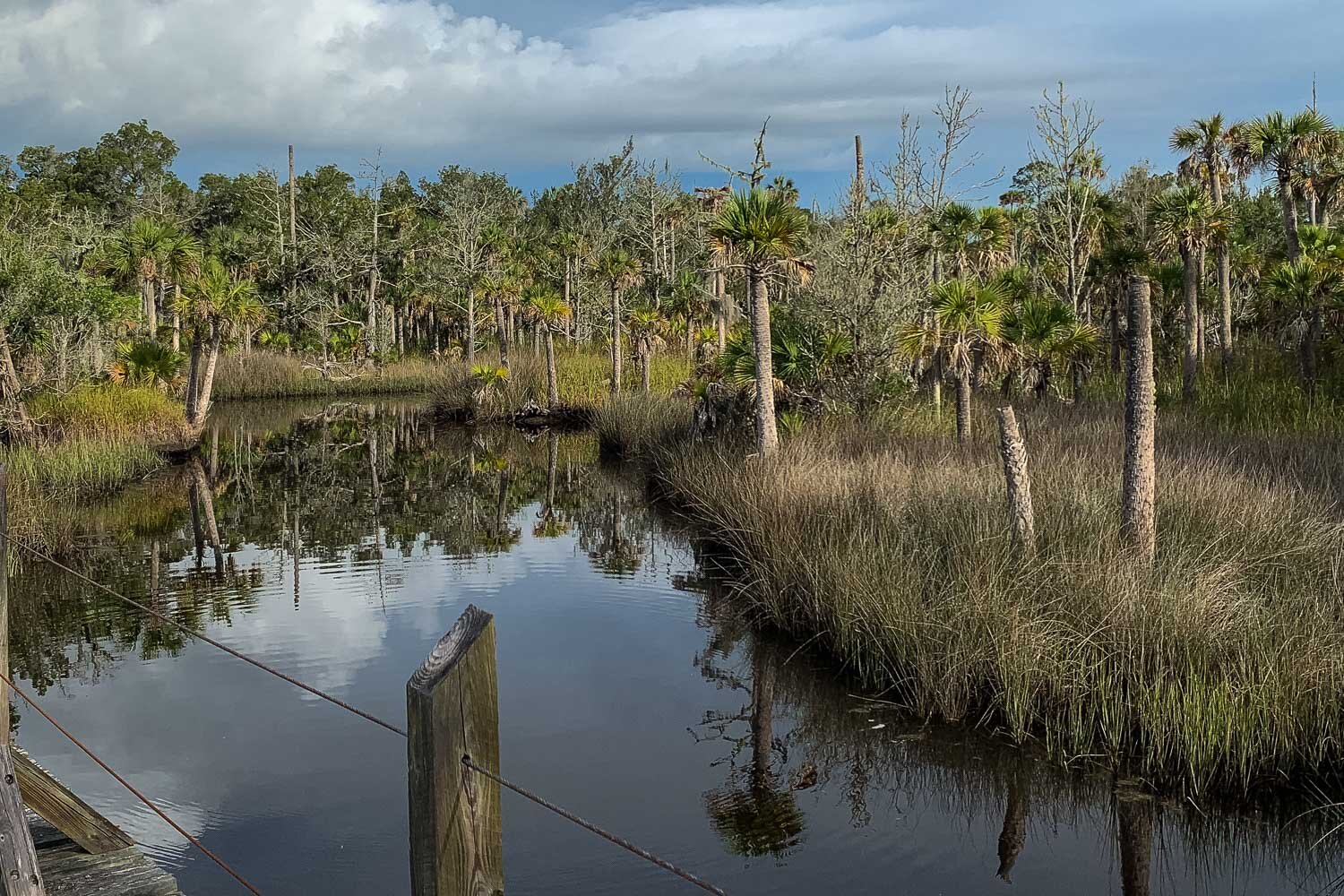 Tram Road — Friends of St. Marks Wildlife Refuge
