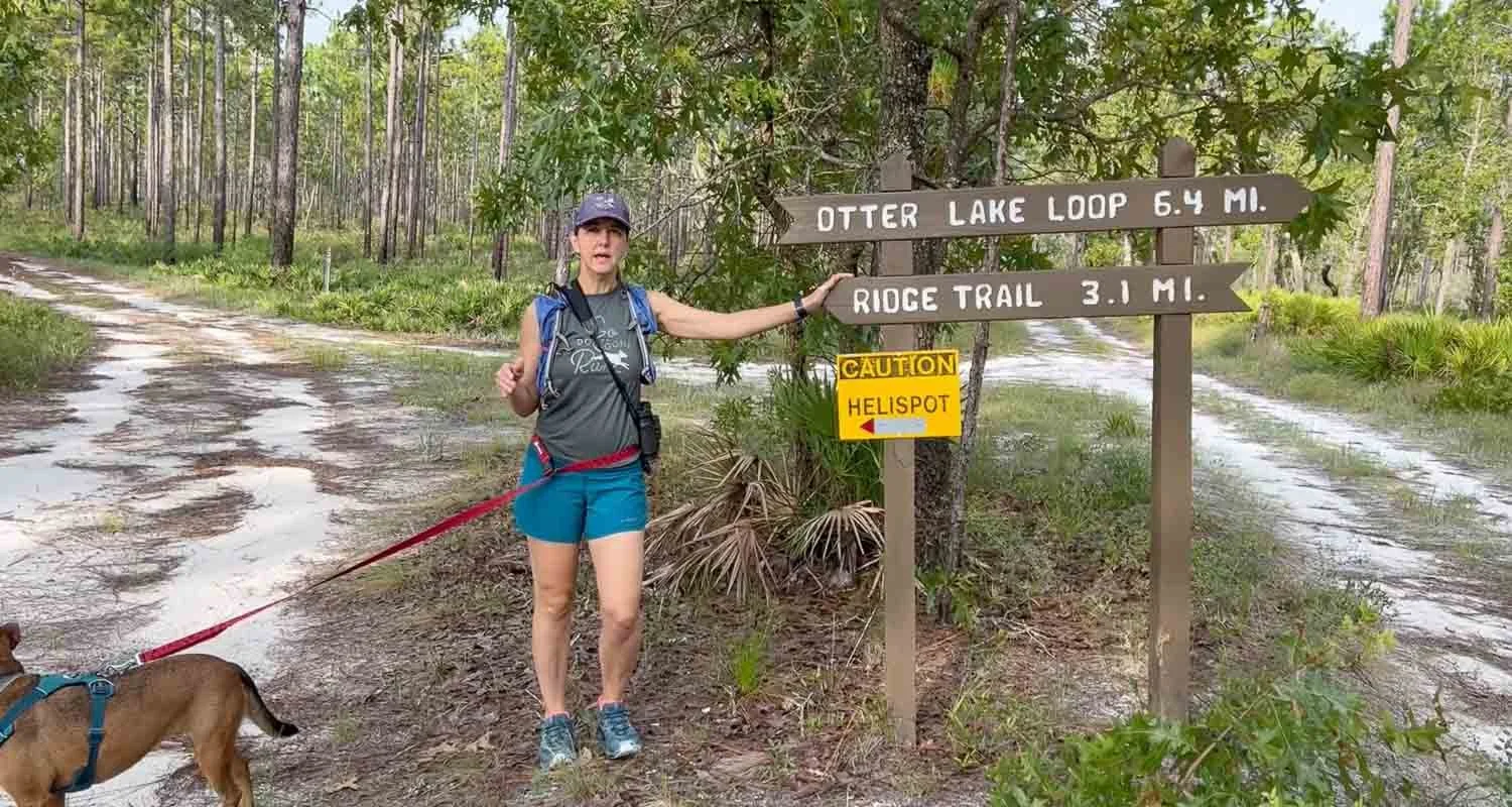 Friends of St. Marks Wildlife Refuge