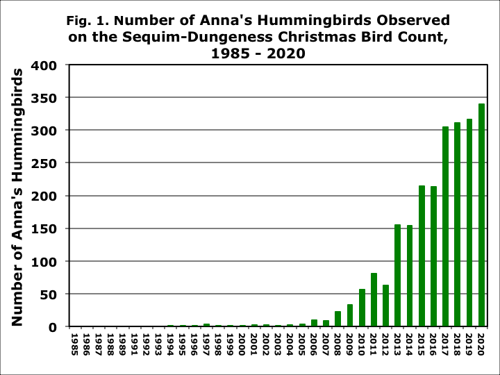 Anna's vs Rufous Hummingbirds — OLYMPIC PENINSULA AUDUBON SOCIETY