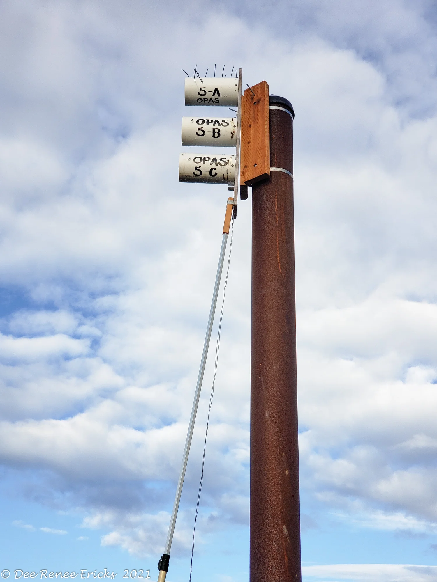 Collecting Purple Martin Nest Boxes for Fall Chores — OLYMPIC PENINSULA ...