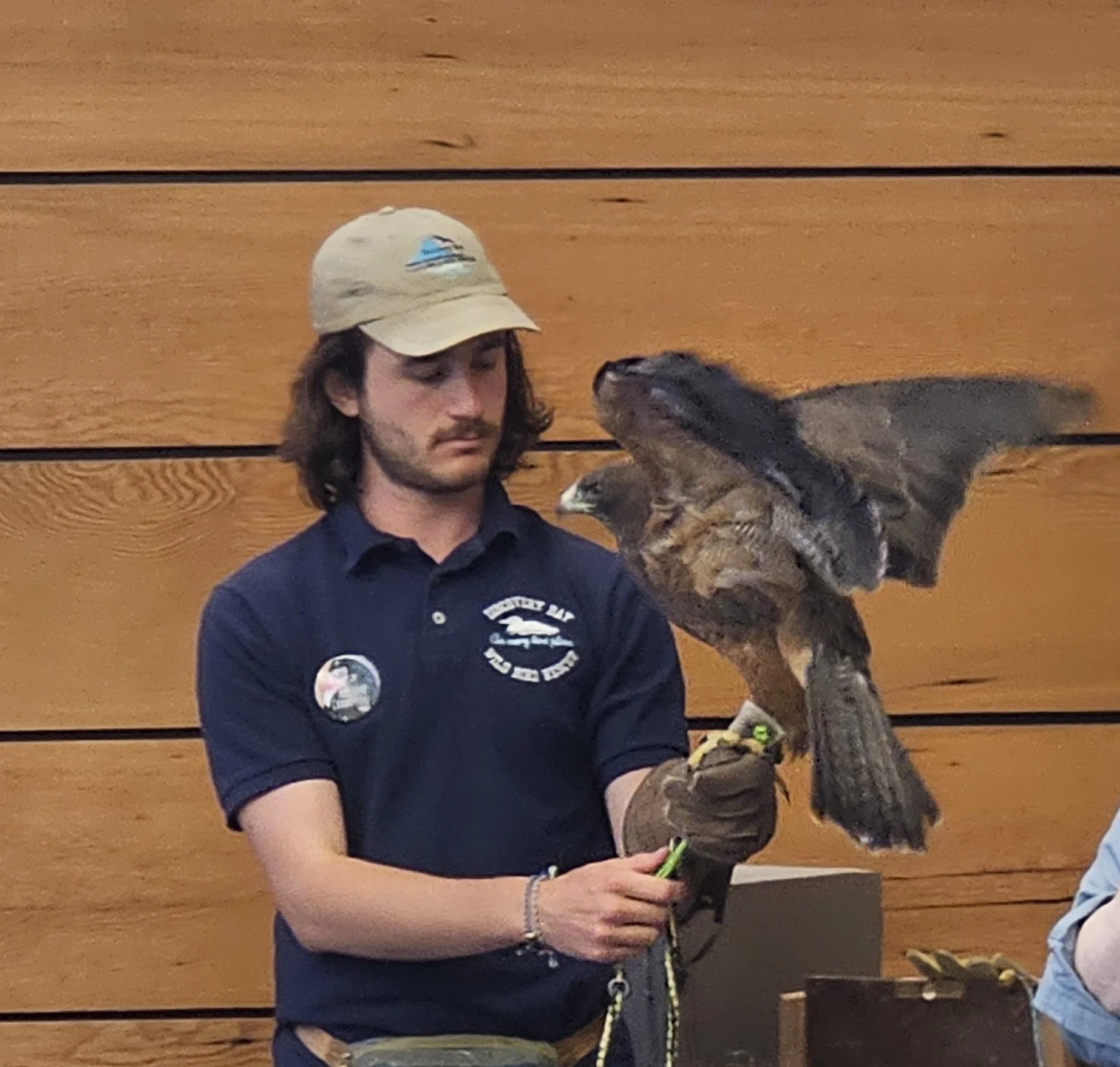"Back on the Wing" Video — OLYMPIC PENINSULA AUDUBON SOCIETY