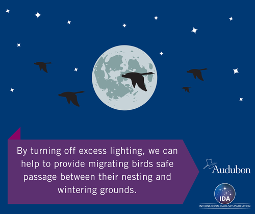 Lights-Out for Migration — OLYMPIC PENINSULA AUDUBON SOCIETY