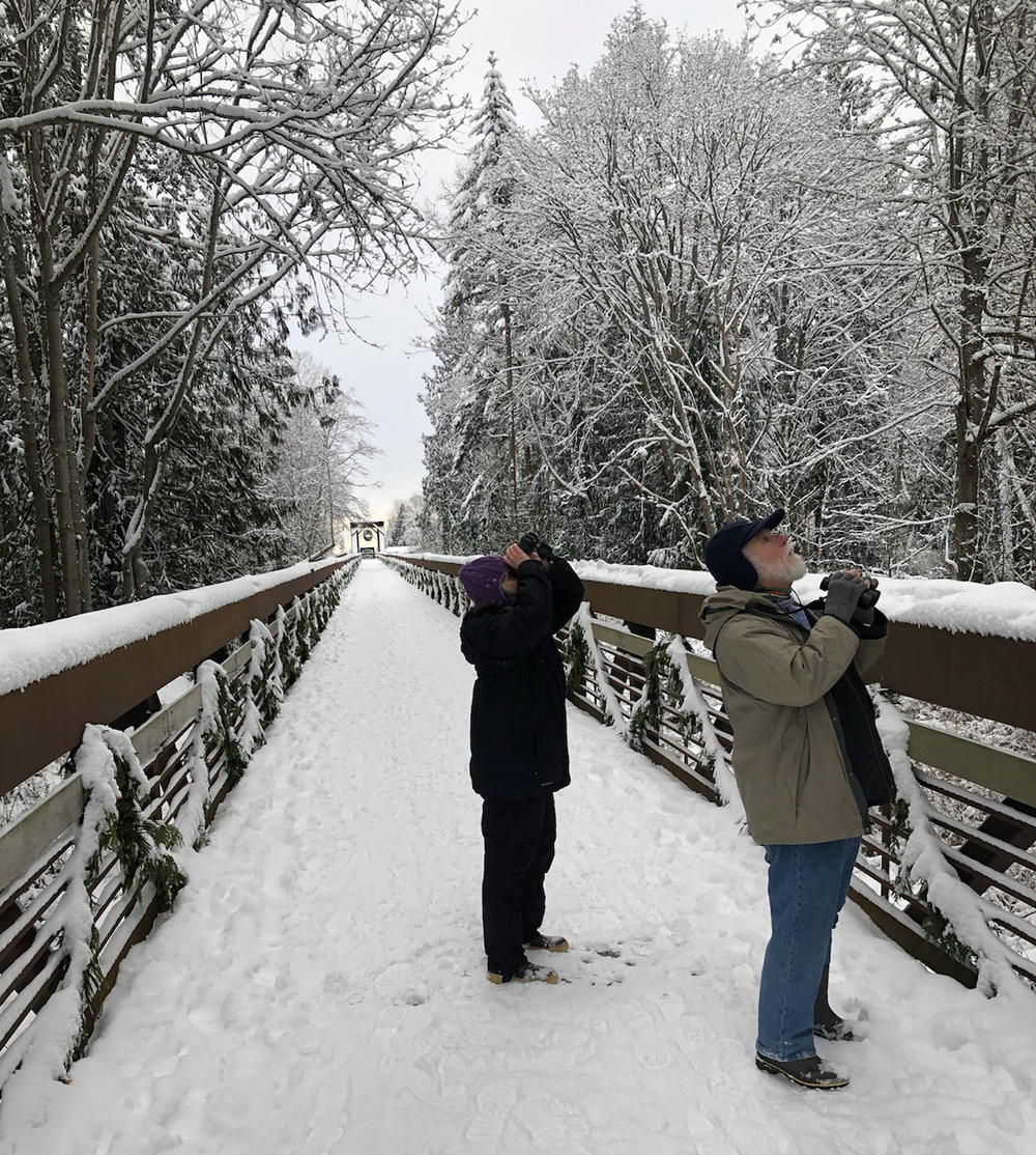 Sequim-Dungeness Christmas Bird Count Results — OLYMPIC PENINSULA ...