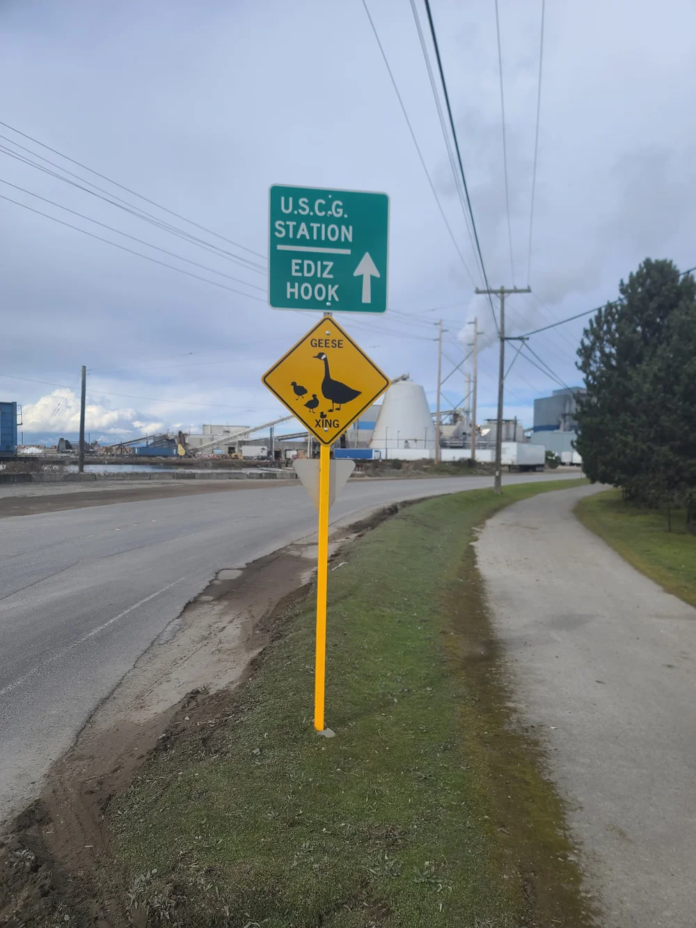 Geese Crossing! — OLYMPIC PENINSULA AUDUBON SOCIETY
