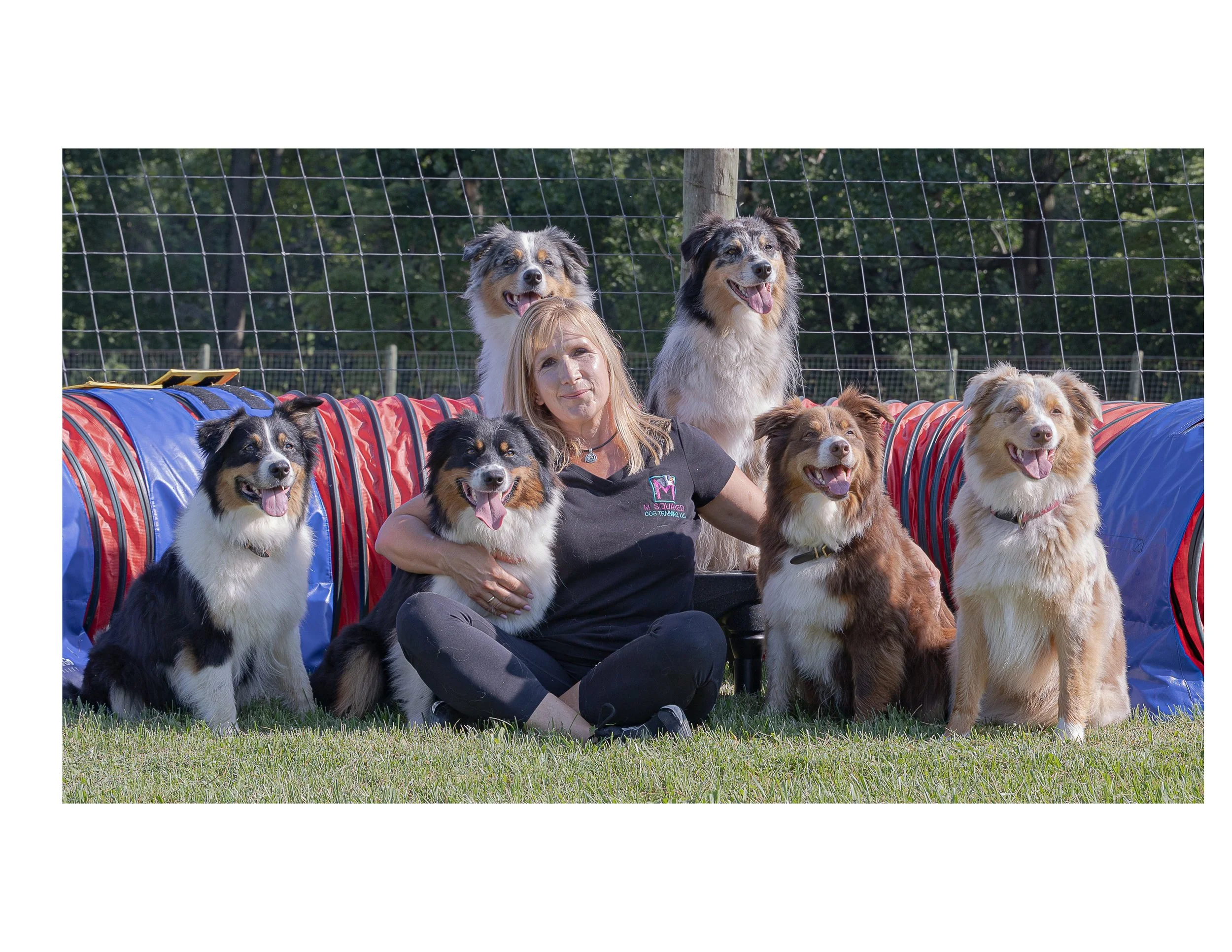MSquared Dog Training