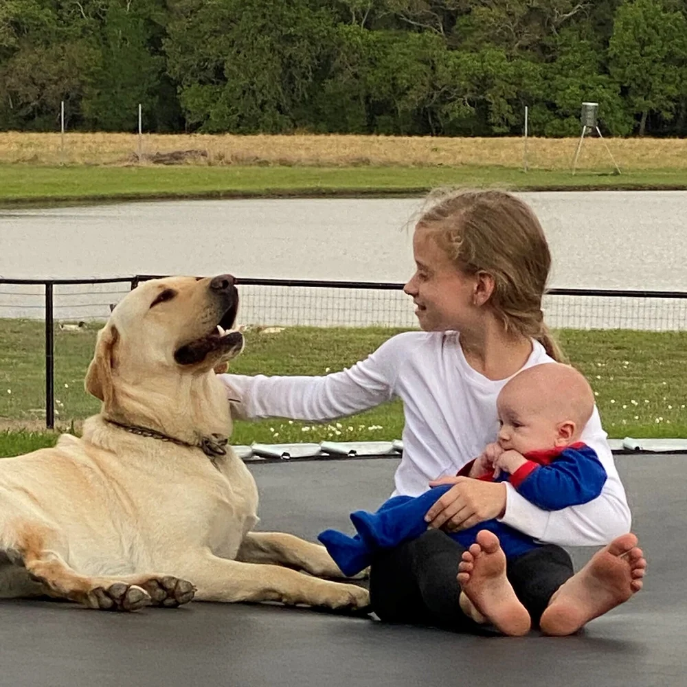OG Ruger — Martin Lake Labradors of Houston