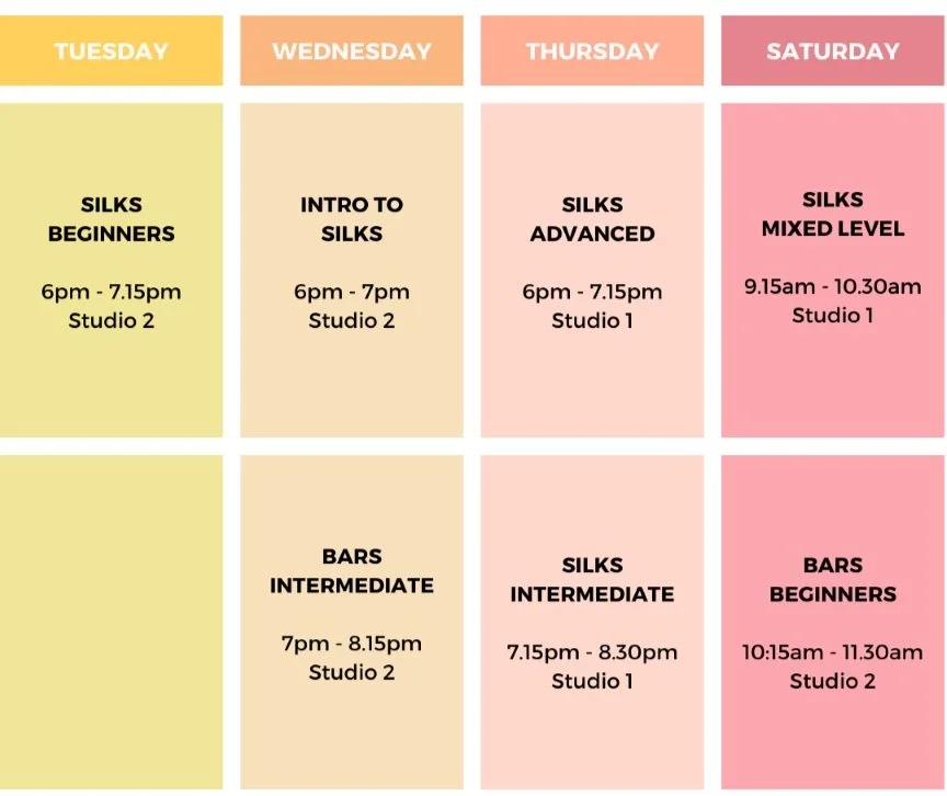 Aerial Silks, lyra, and dance trapeze classes — Aracnation | Aerial ...