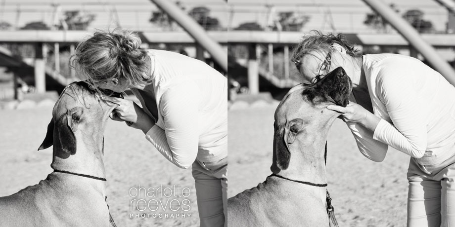 Client Session ~ Jackson, Alexa, Tyson and Kiki the Great Danes ...