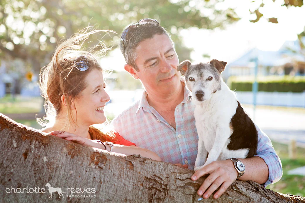 Client Session ~ Jake the Jack Russell Terrier in Brisbane — Charlotte ...