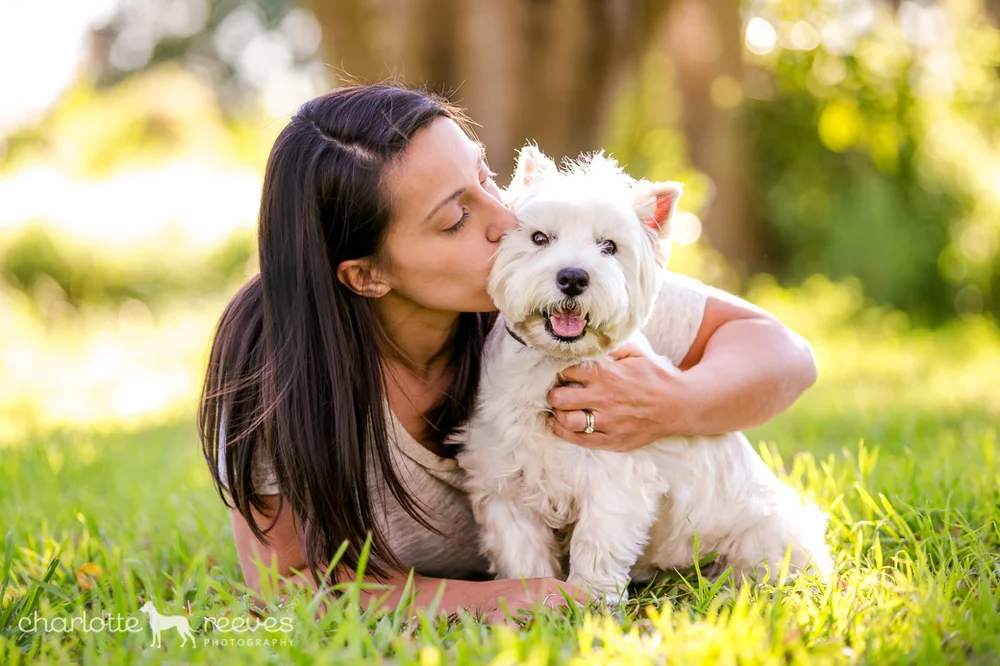 Deluxe Session ~ Pepper the Westie in Brisbane — Charlotte Reeves ...