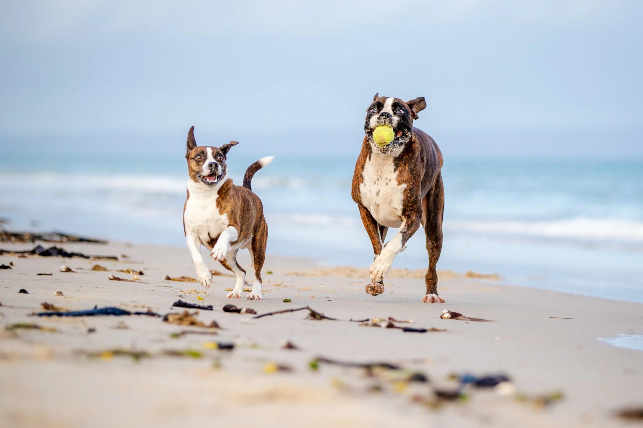 Portfolio — Charlotte Reeves Photography