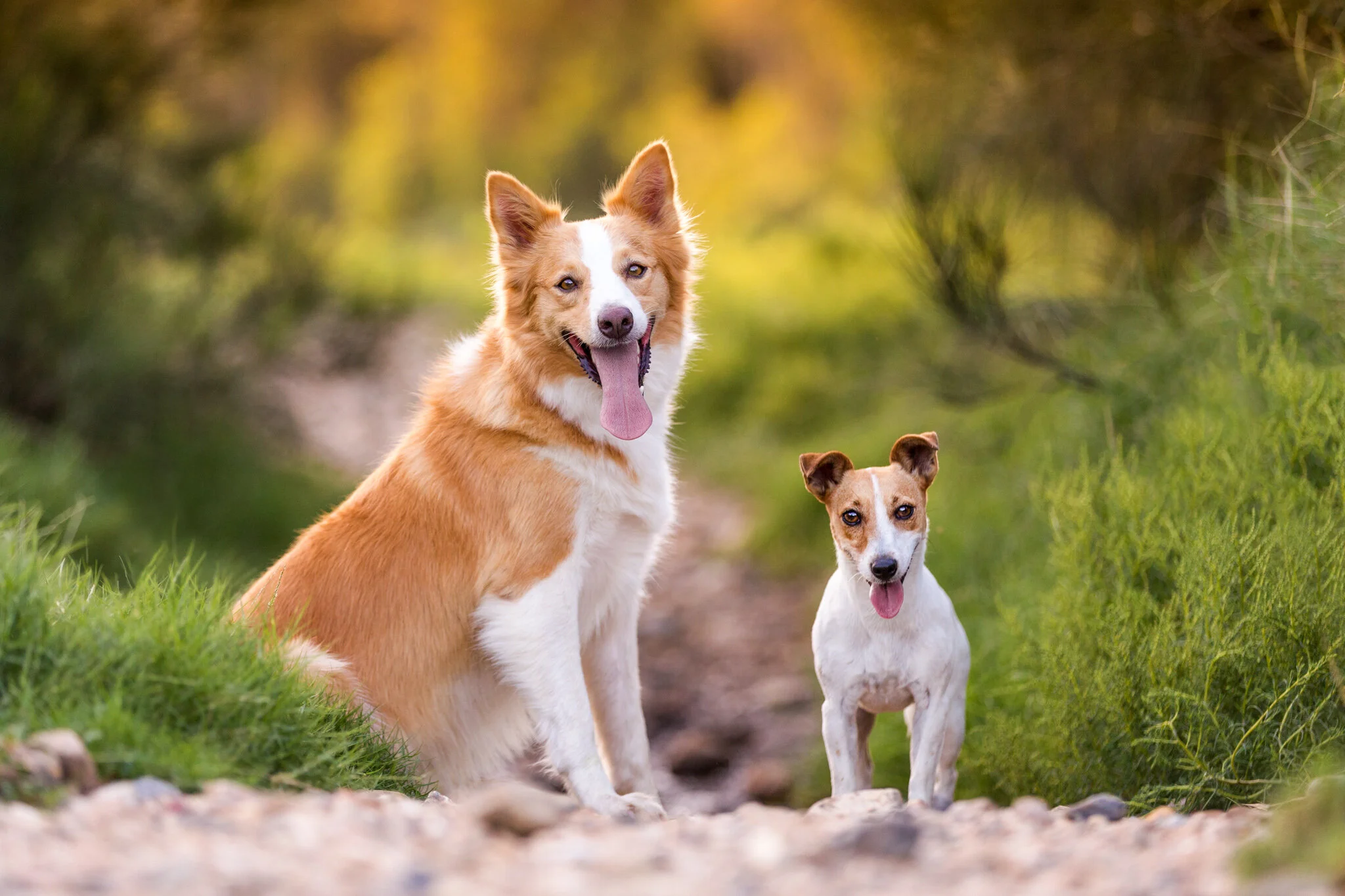 Portfolio — Charlotte Reeves Photography