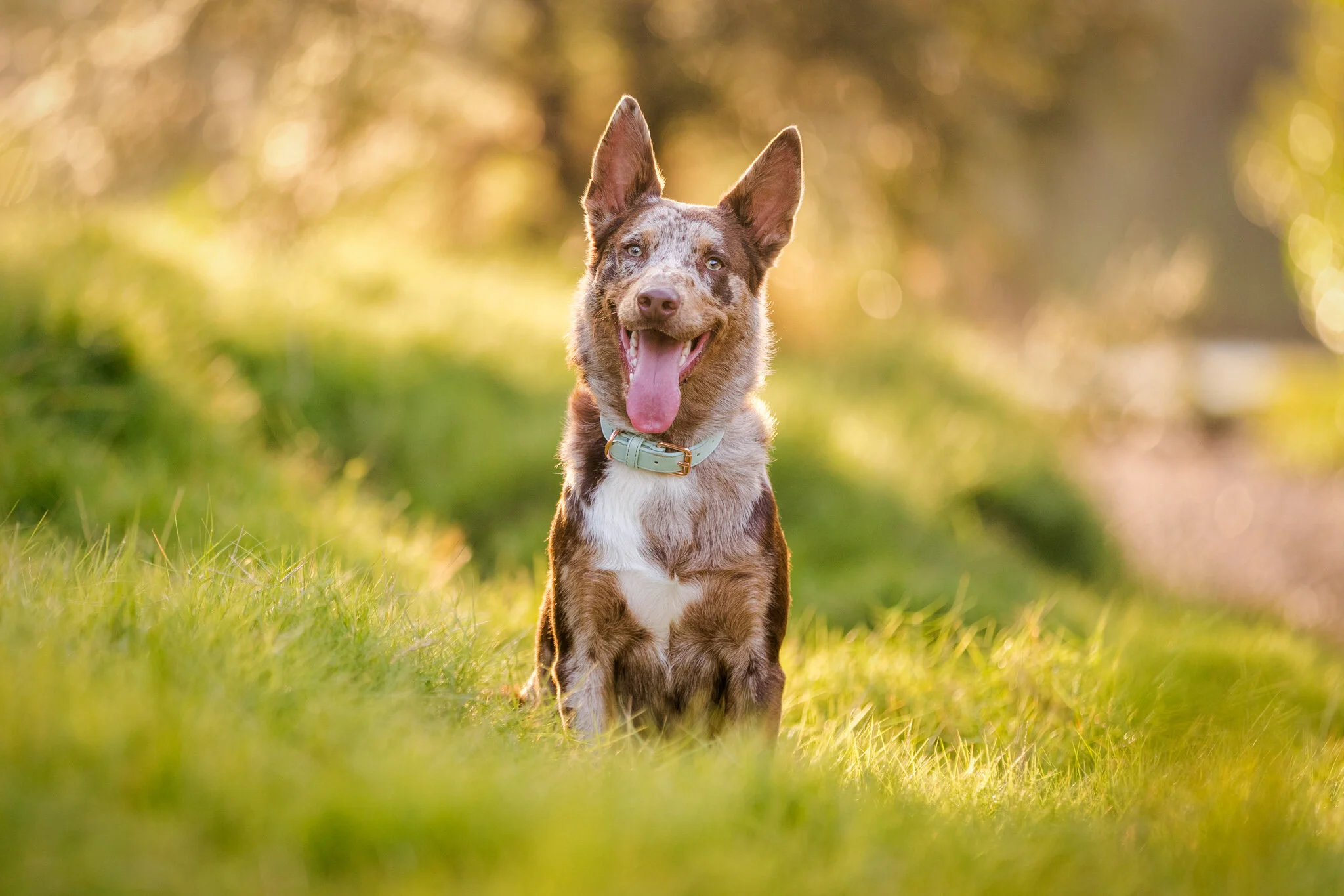 Portfolio — Charlotte Reeves Photography