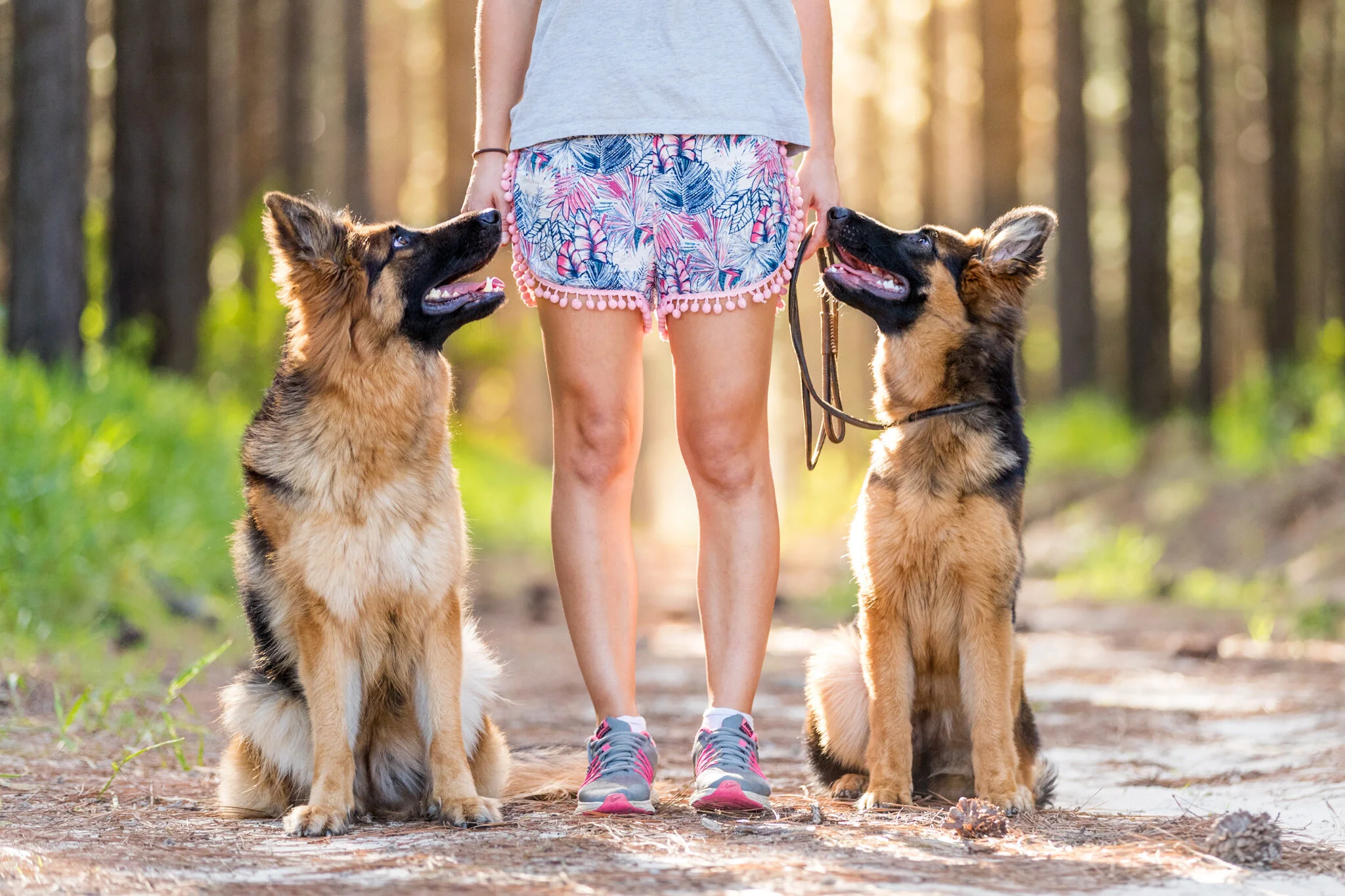 Portfolio — Charlotte Reeves Photography